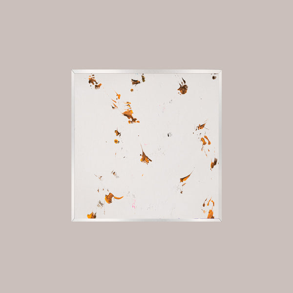 Galapagos Tortoise Art – Toledo Zoo & Aquarium Store